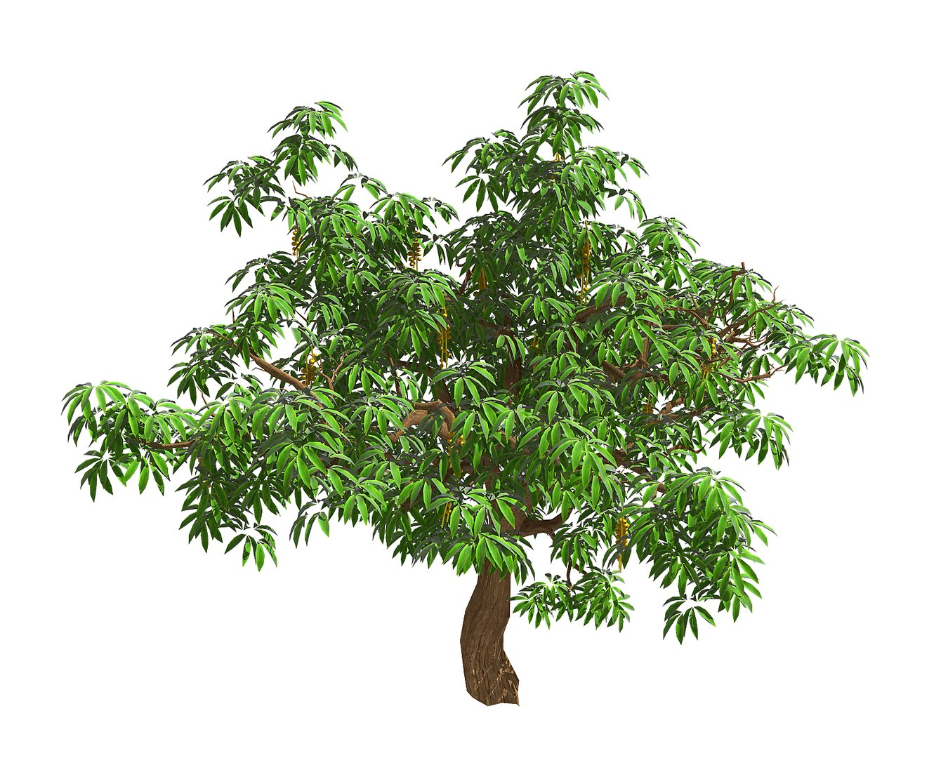 Sharp Leaves - Tree 3D - TurboSquid 1448824