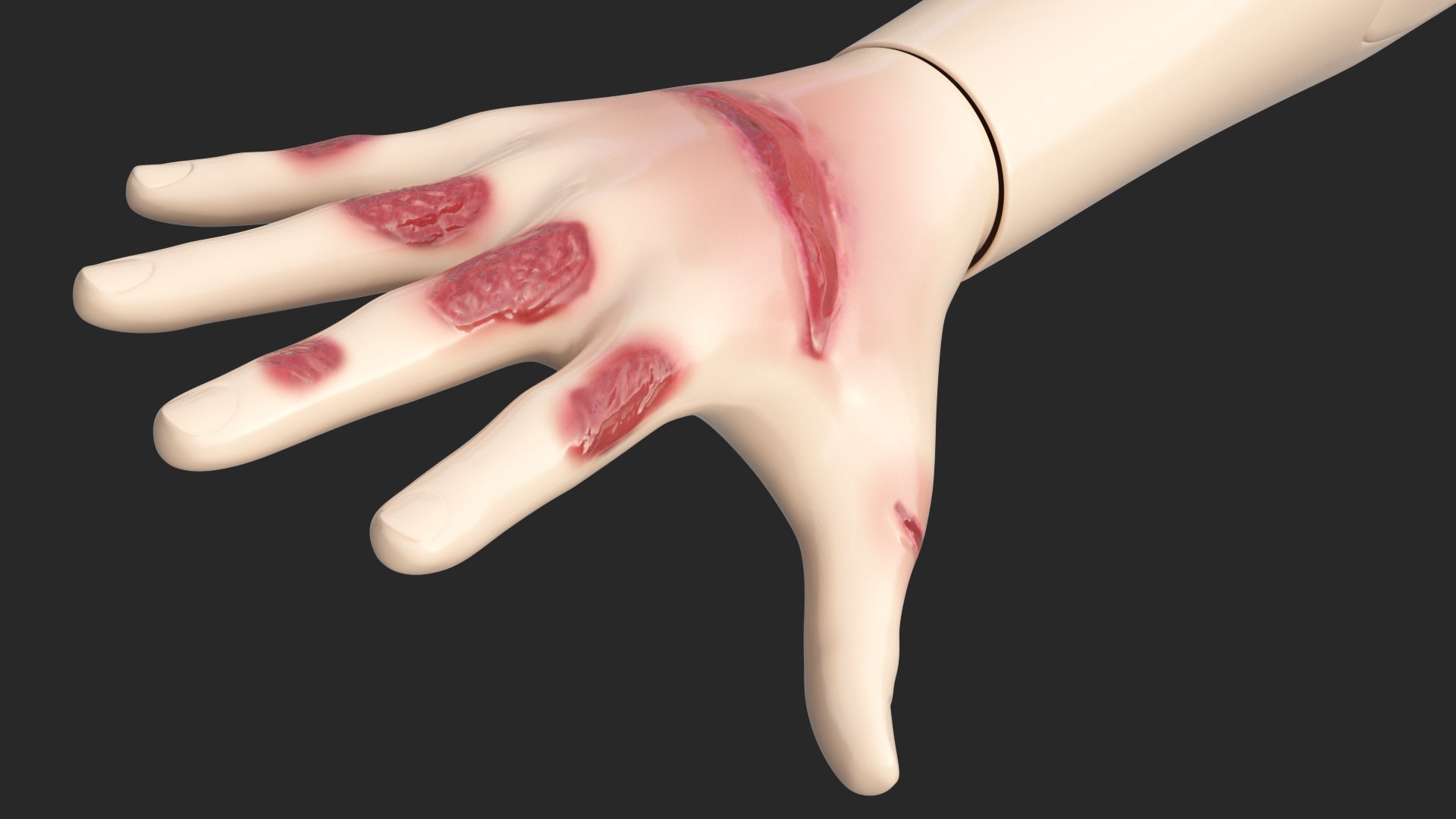 Injured Firstaid Mannequin Arm 3D Model - TurboSquid 1513430