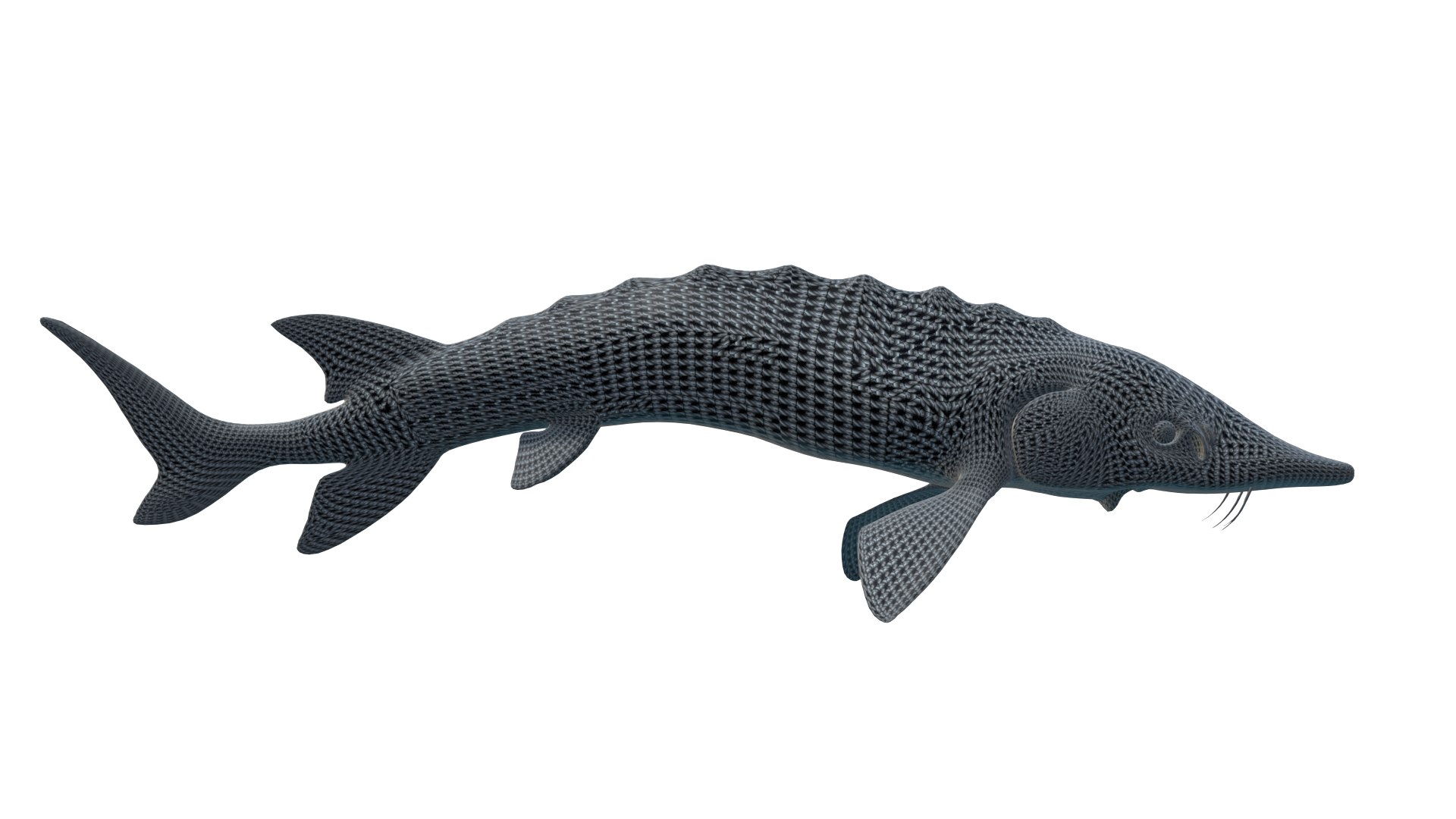 3D Acipenser Dabryanus 3D Model Model - TurboSquid 2313633