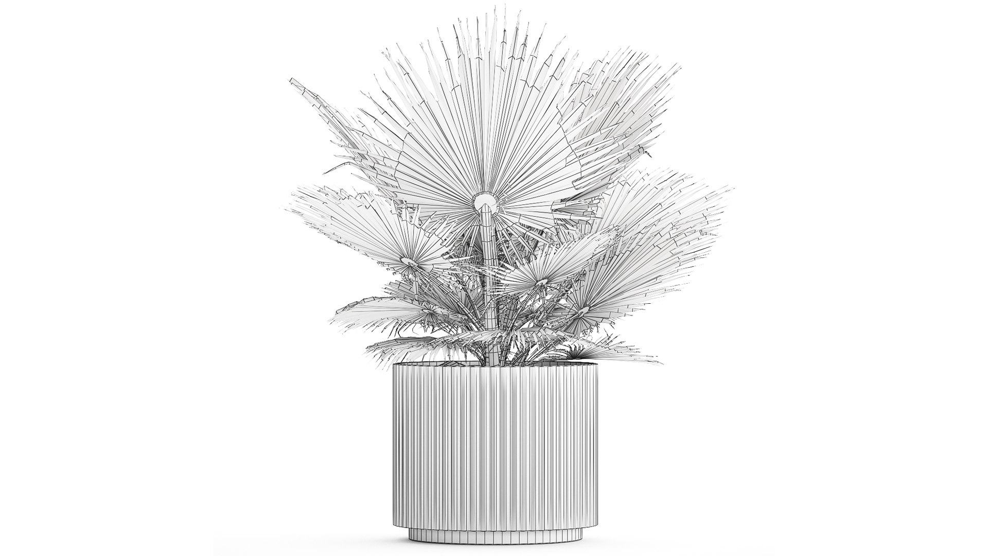 Beautiful Fan Palm For Decoration In A Flower Pot 1275 3D - TurboSquid ...