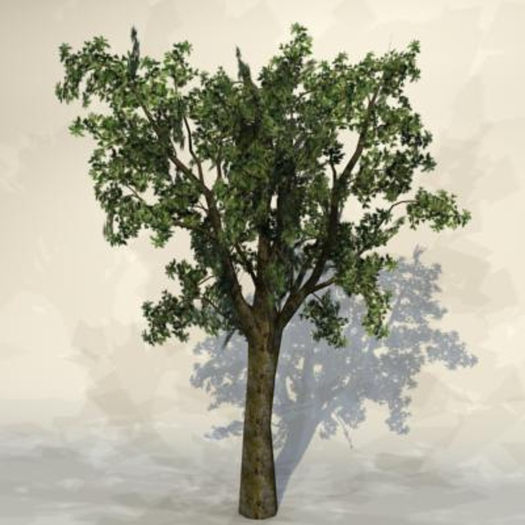 3d model of pc tree
