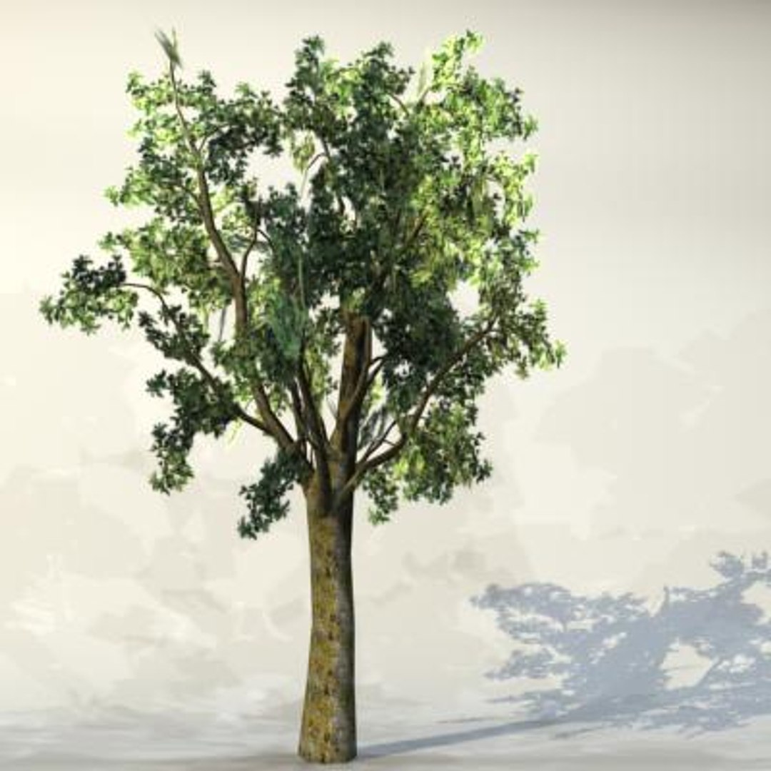 3d model of pc tree