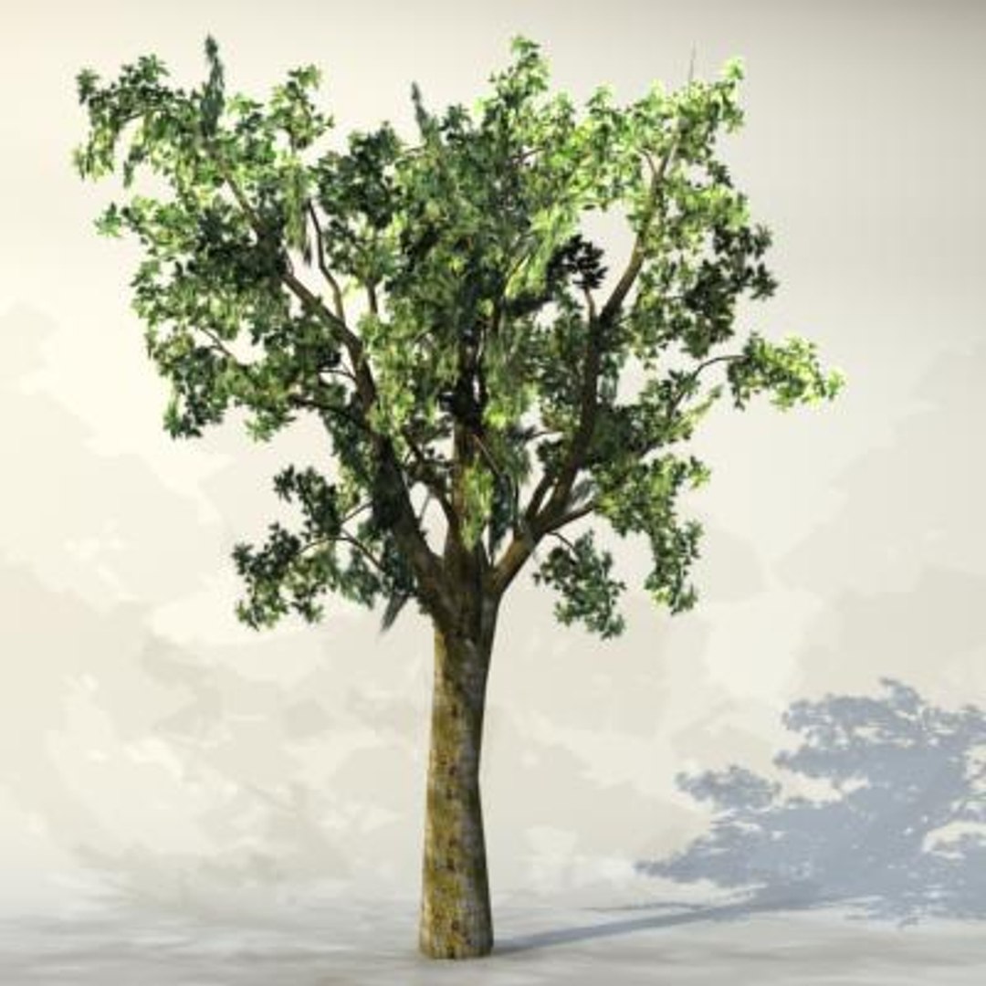 3d model of pc tree