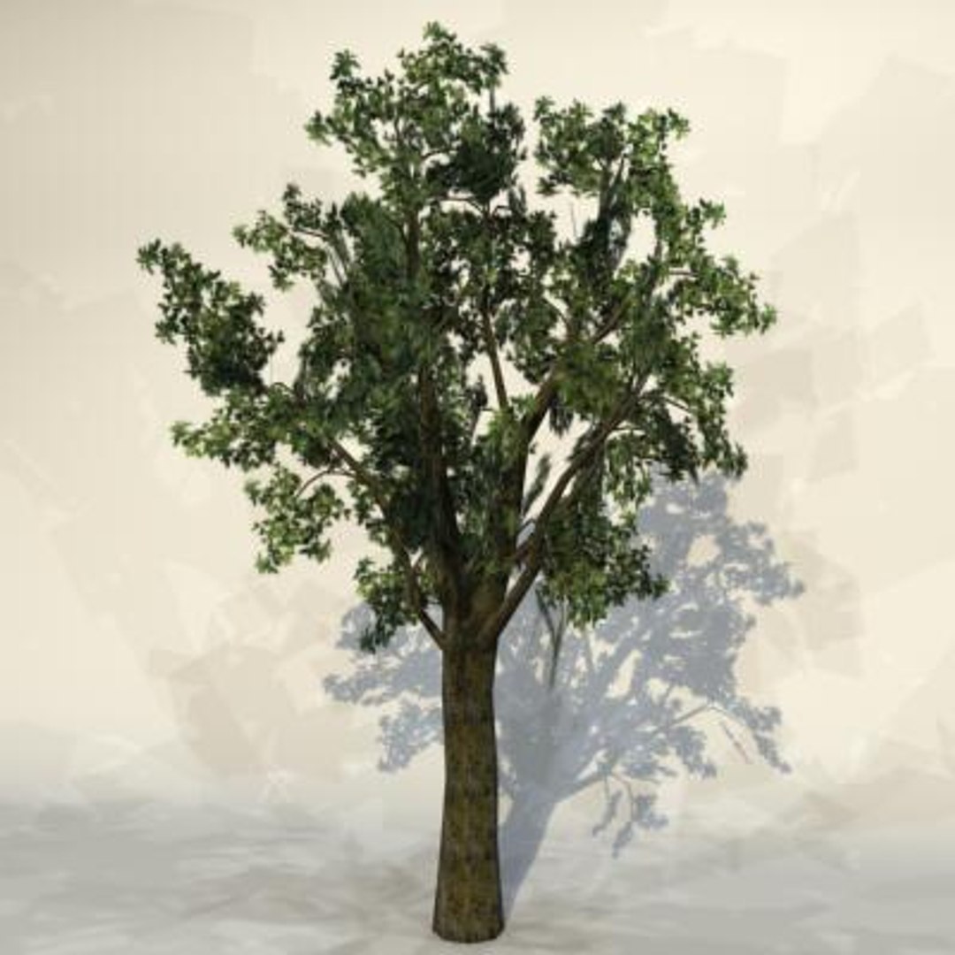 3d model of pc tree