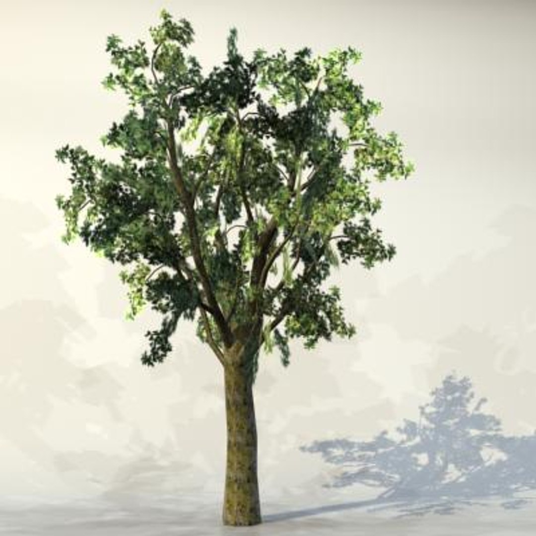 3d model of pc tree