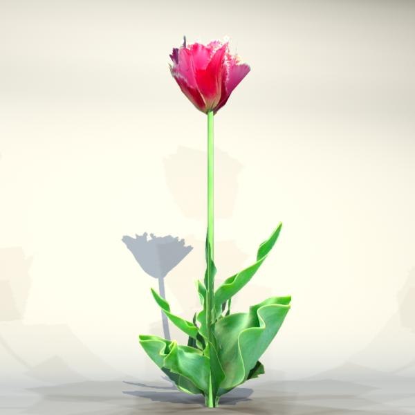 3d model pc flower