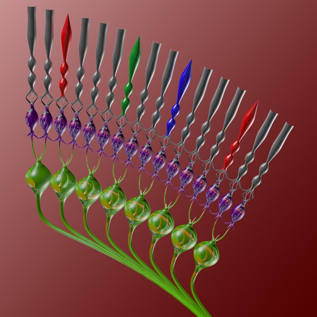 retina eye 3d max