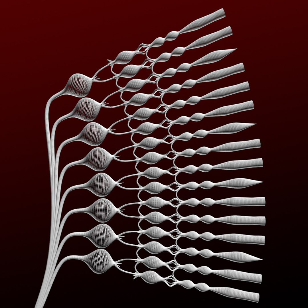 retina eye 3d max