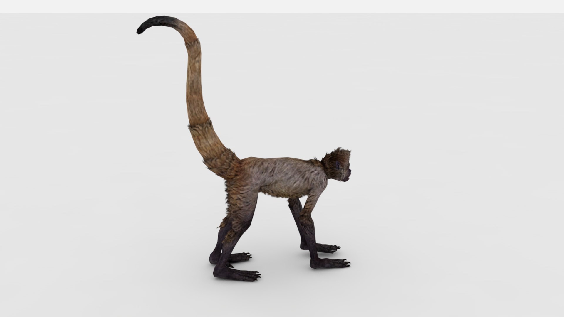 3D Monkey - TurboSquid 1840025