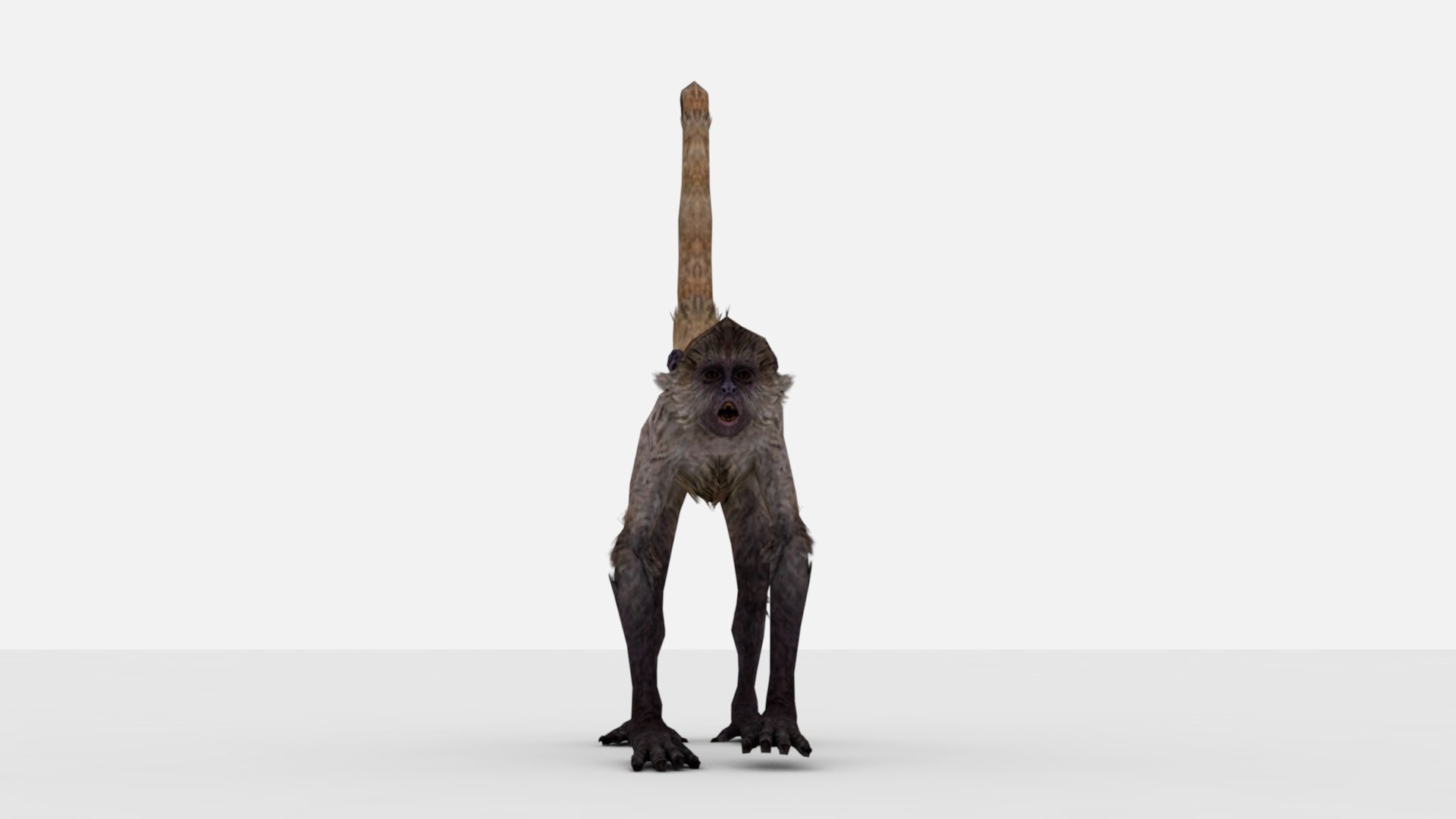 3D Monkey - TurboSquid 1840025