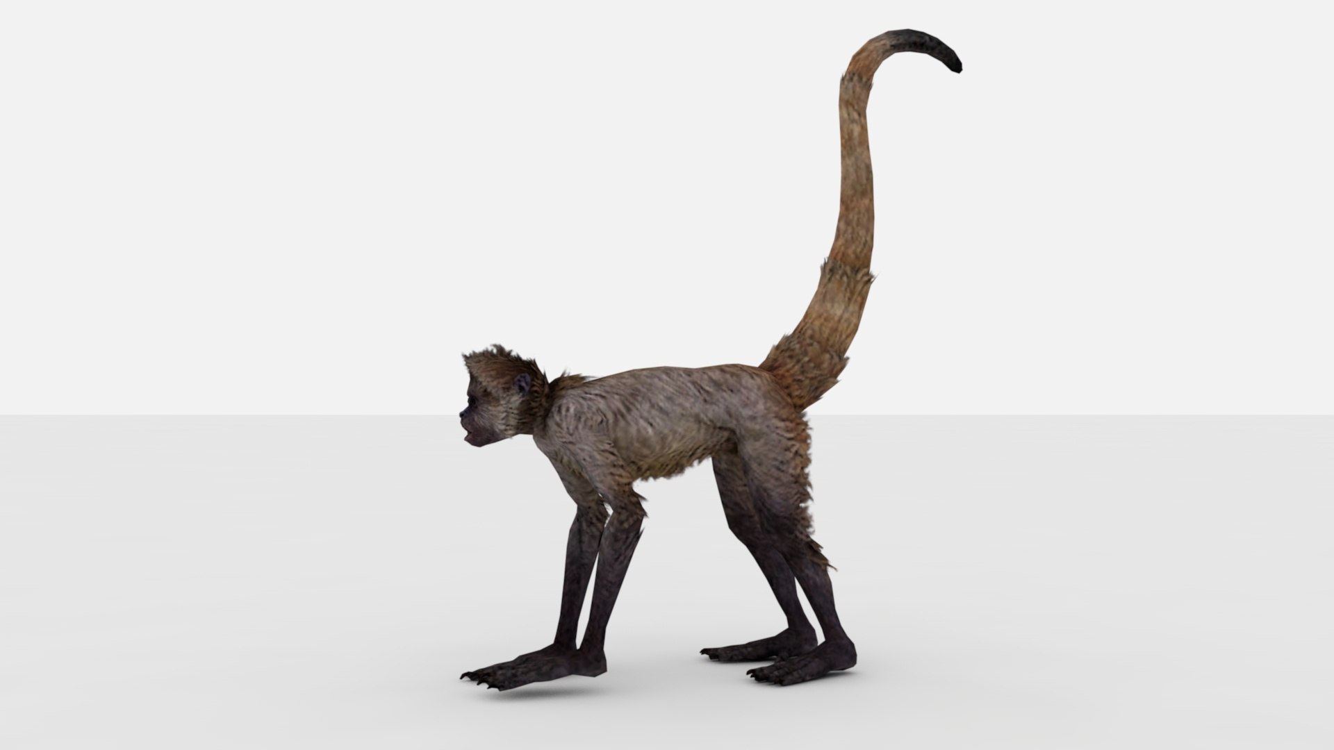 3D Monkey - TurboSquid 1840025