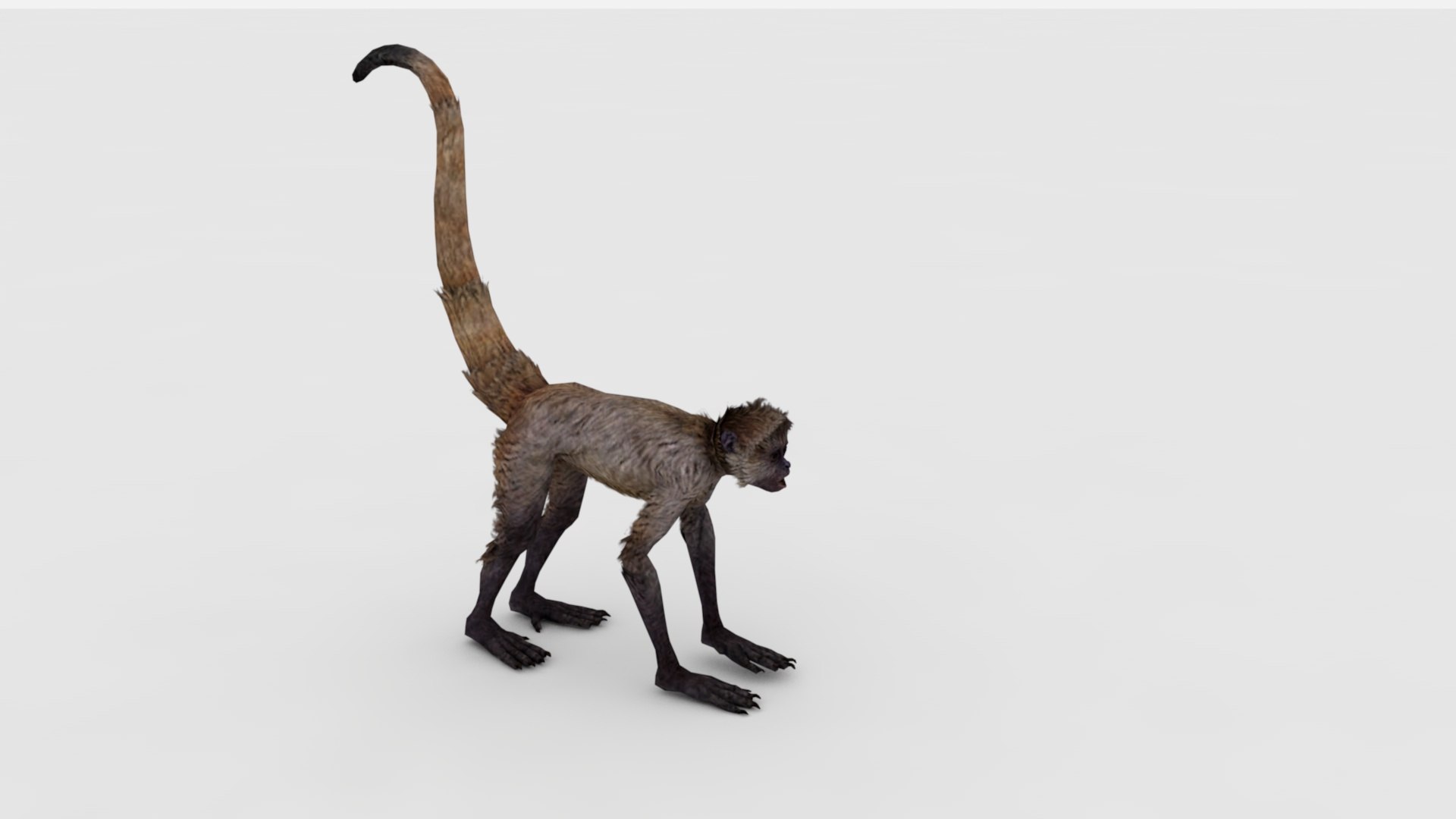 3D Monkey - TurboSquid 1840025