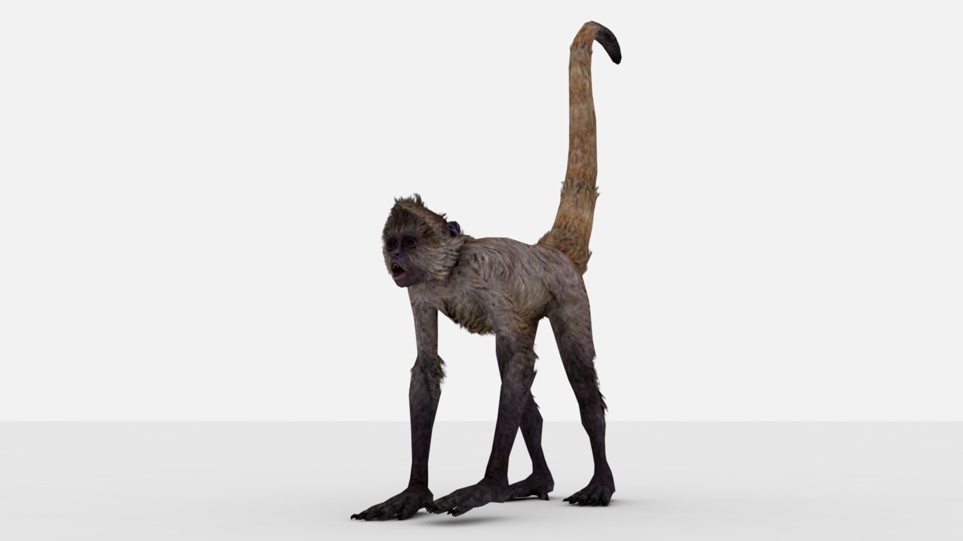 3D Monkey - TurboSquid 1840025