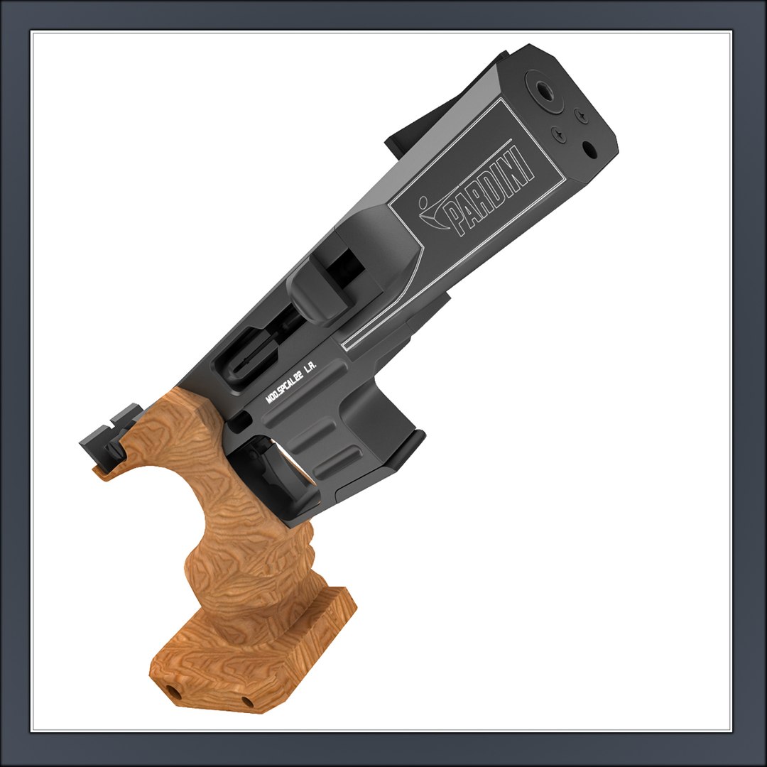 Max Rapid Pistol Olympic Shooting