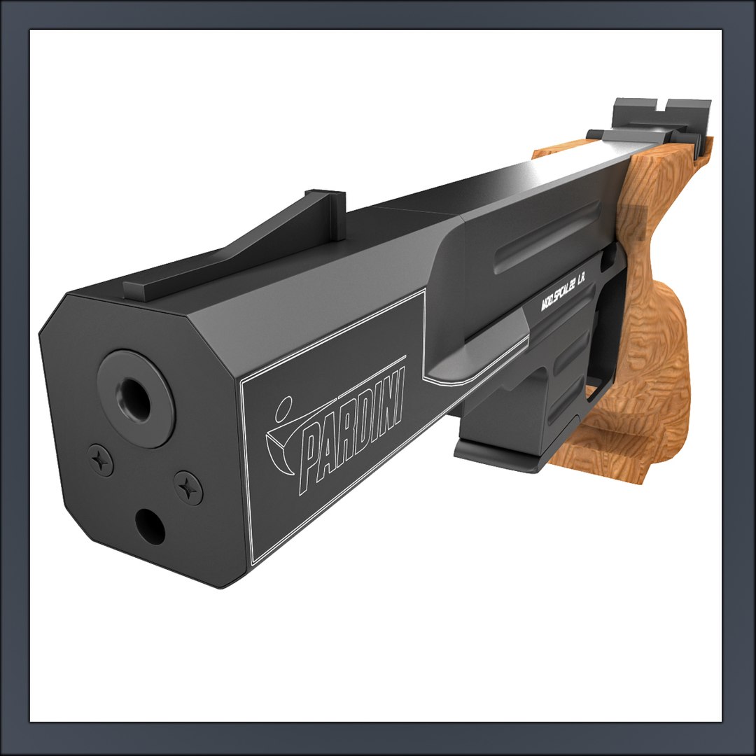 Max Rapid Pistol Olympic Shooting