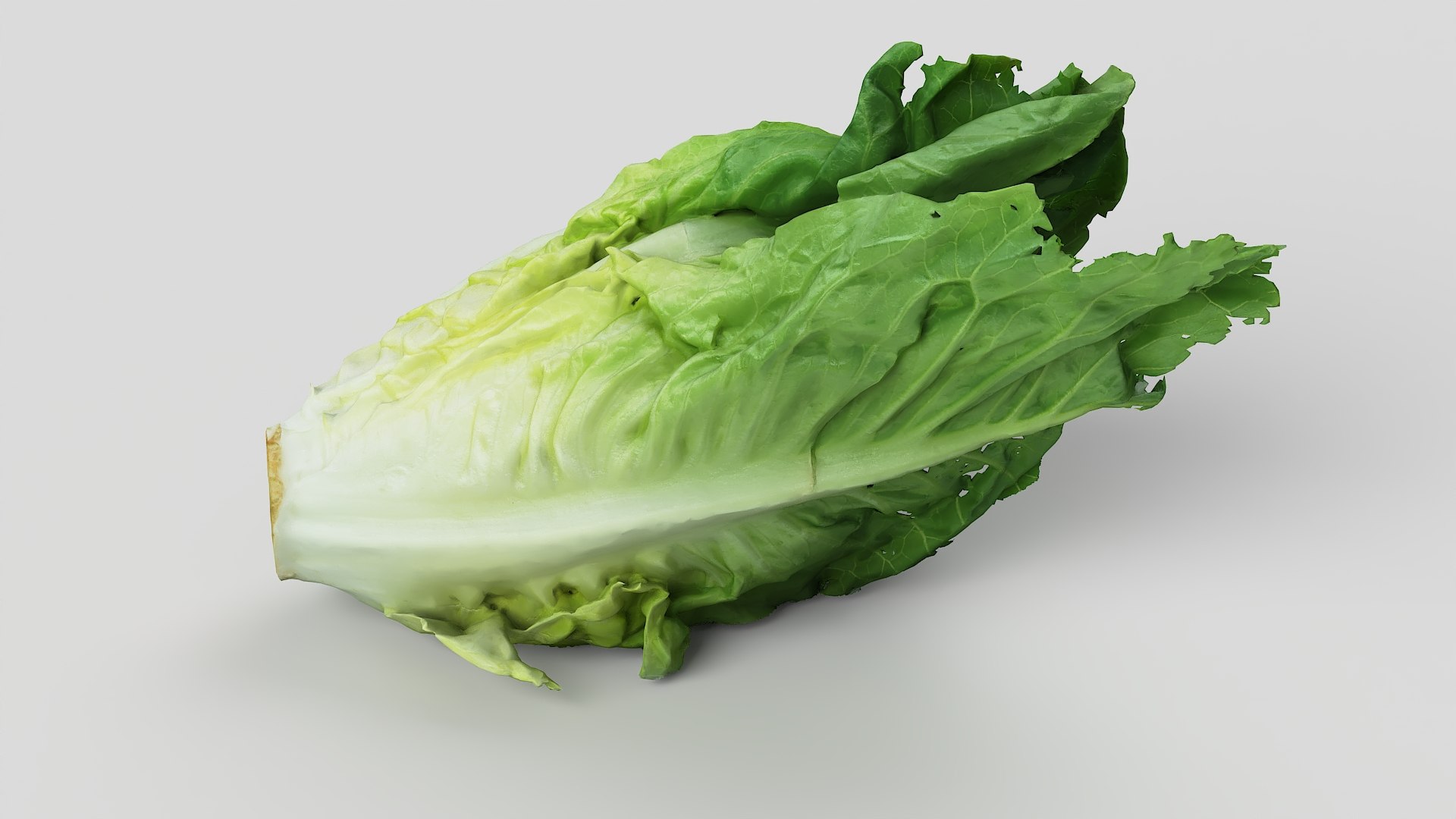 Salad Head 13 model - TurboSquid 2155227