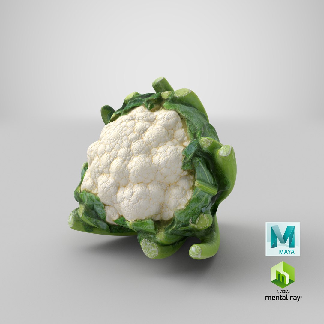 3D Cauliflower model - TurboSquid 1840730