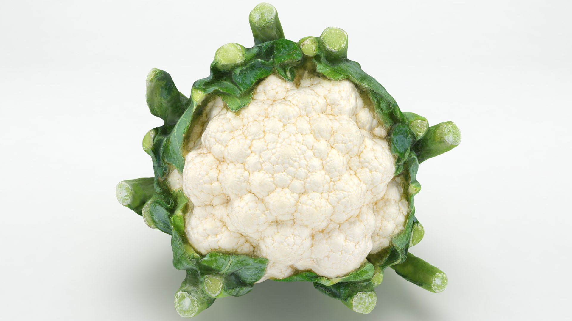 3D Cauliflower model - TurboSquid 1840730
