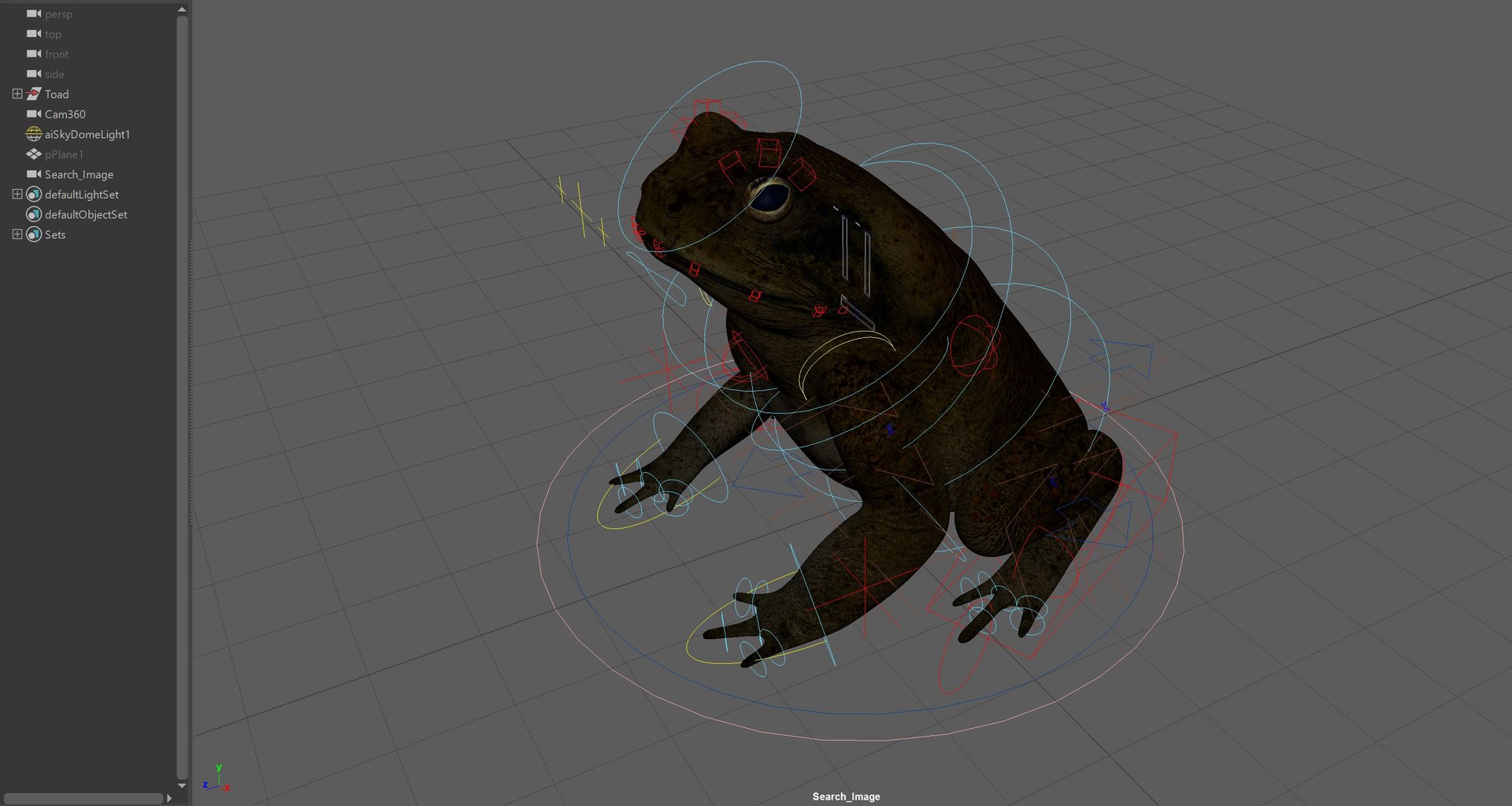 Toad 3D Model Model - TurboSquid 2066207