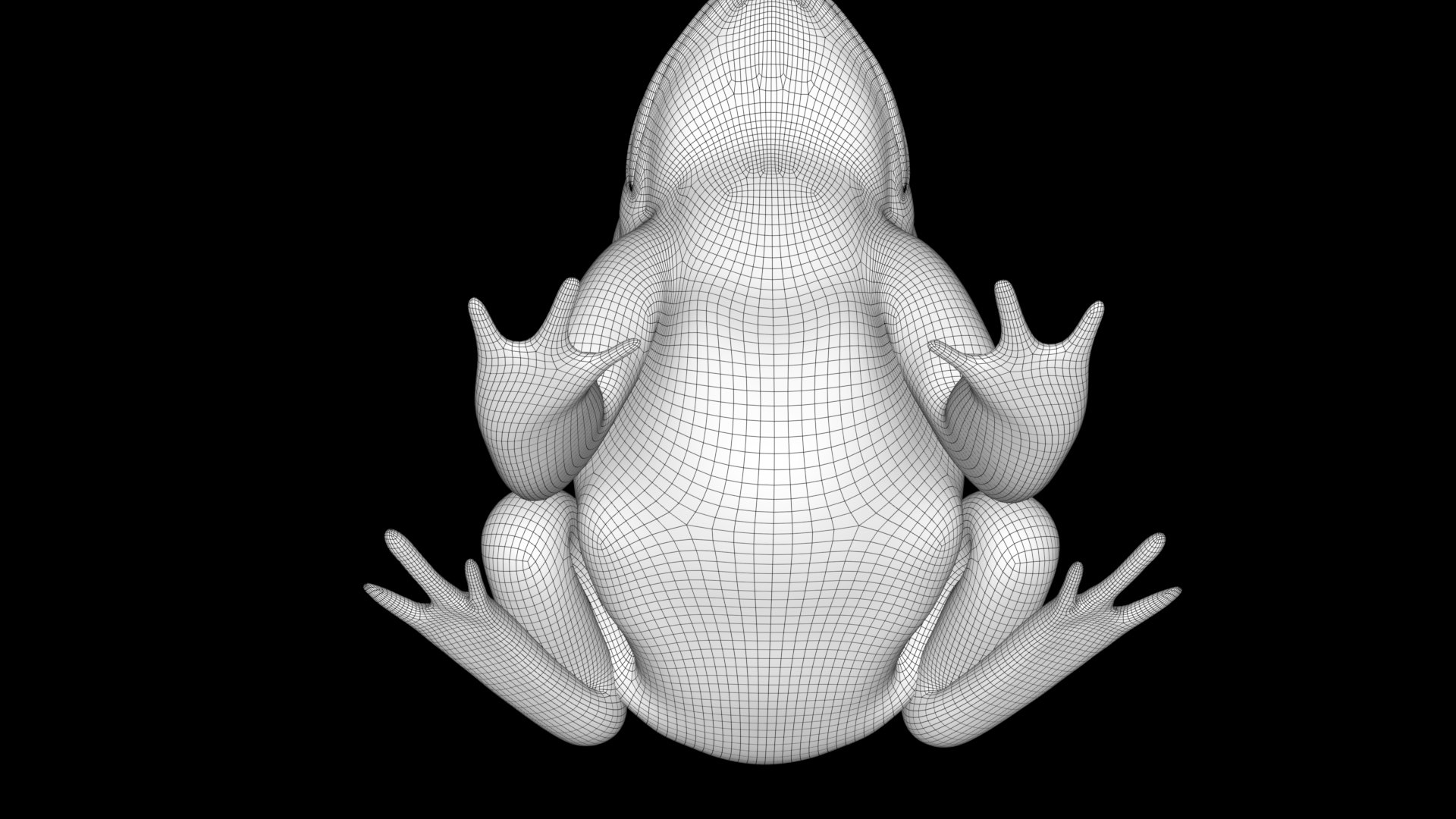 Toad 3D Model Model - TurboSquid 2066207