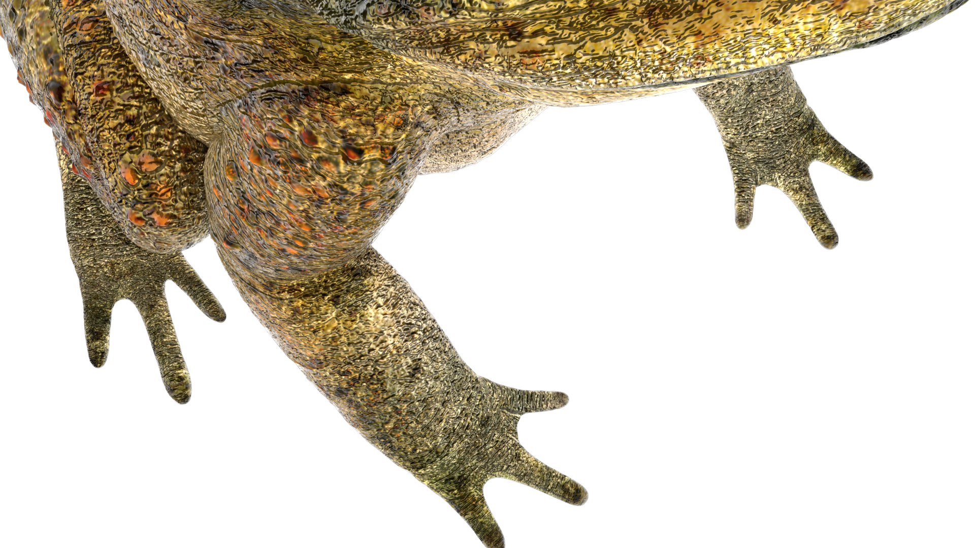 Toad 3D Model Model - TurboSquid 2066207