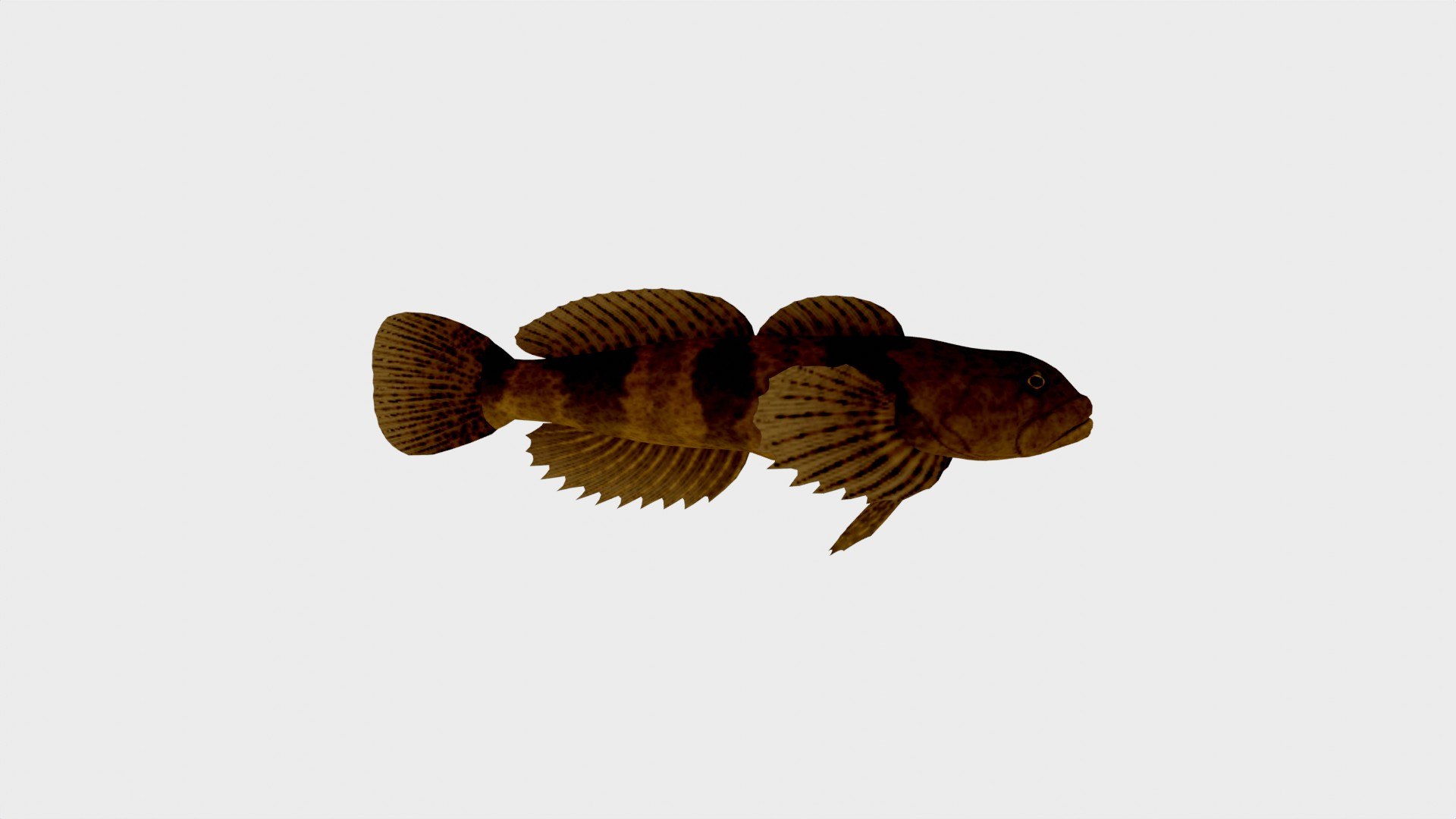 Slimy Sculpin Fish 3D Model Low Poly 3D Model - TurboSquid 2242710