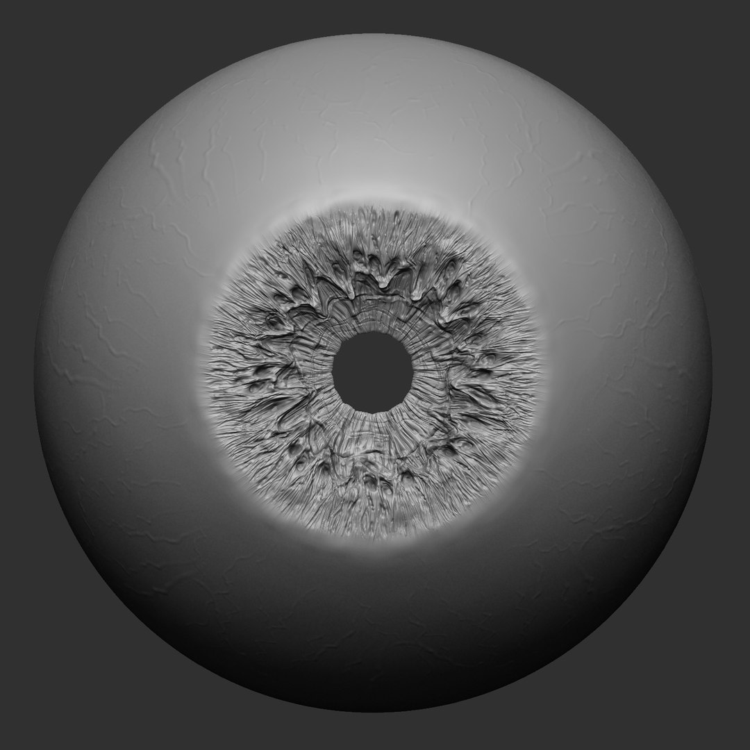 3d Realistic Eye Model