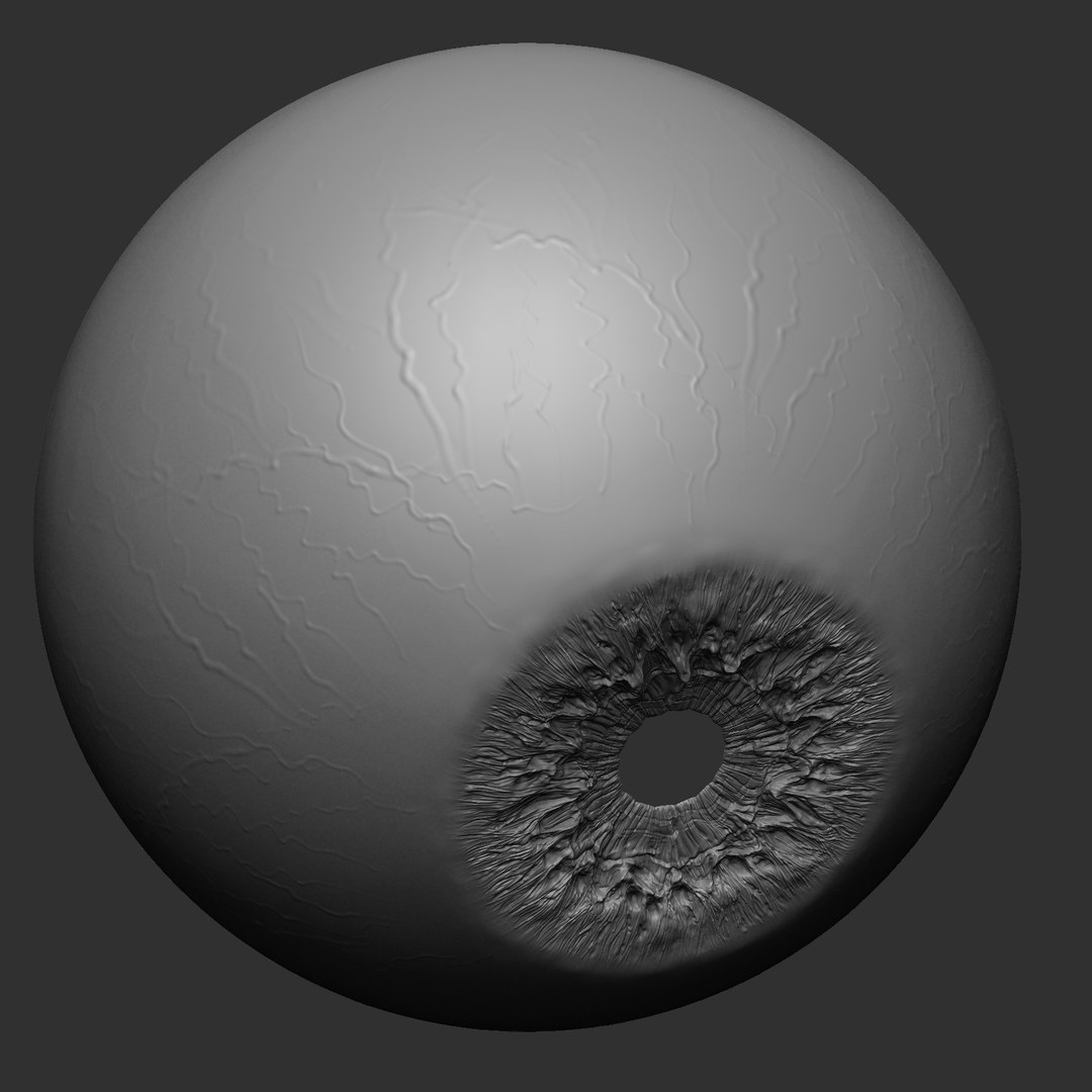 3d Realistic Eye Model