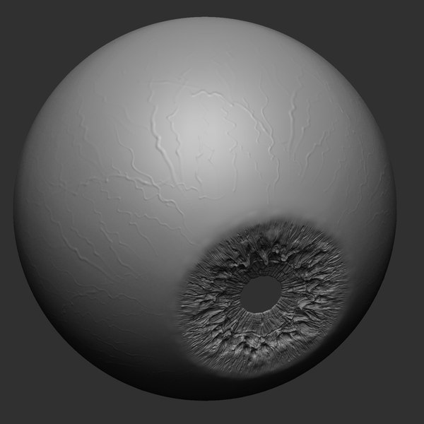 3d realistic eye model