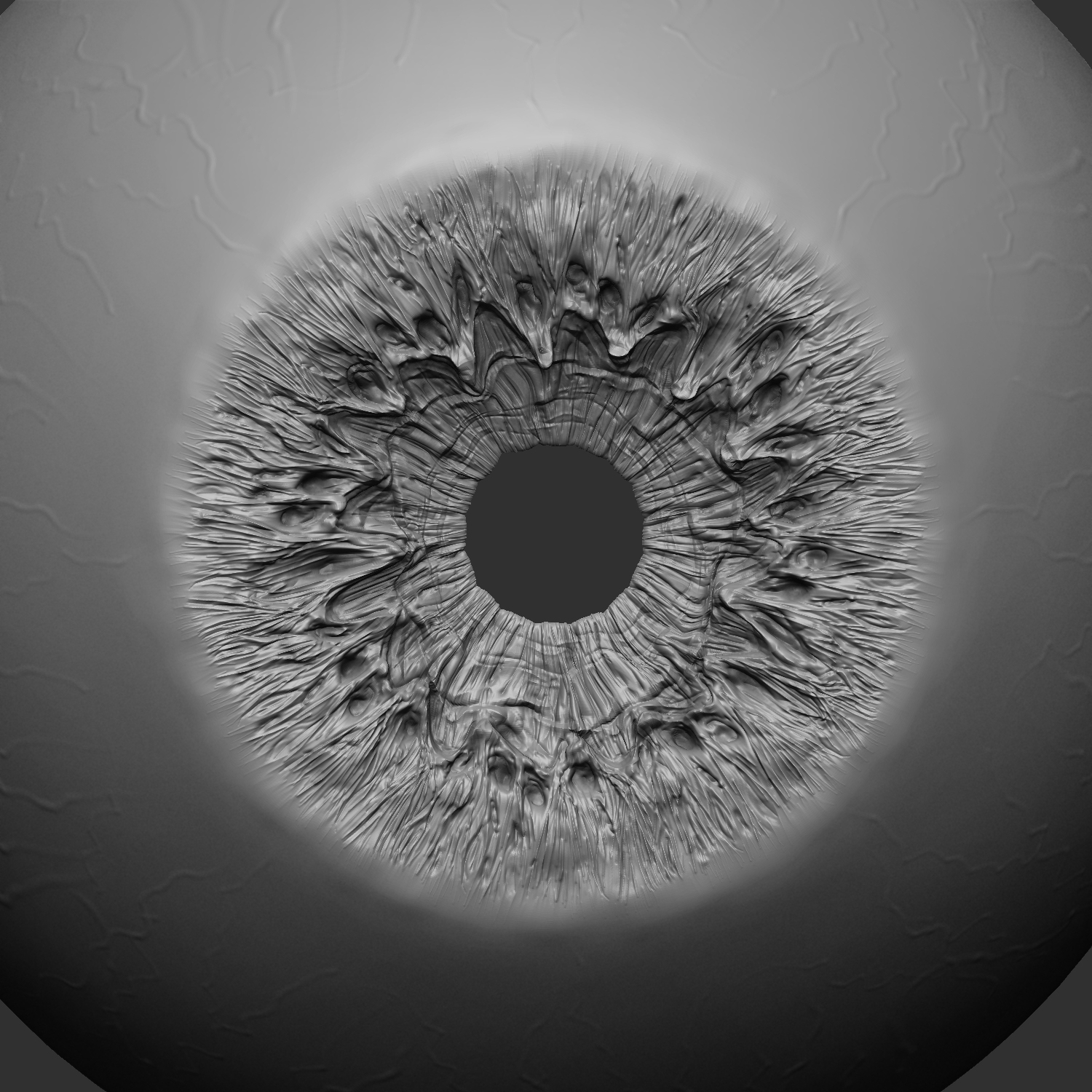3d realistic eye model