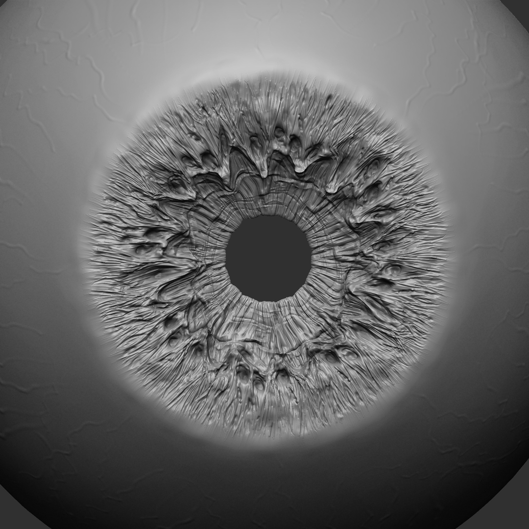 3d realistic eye model