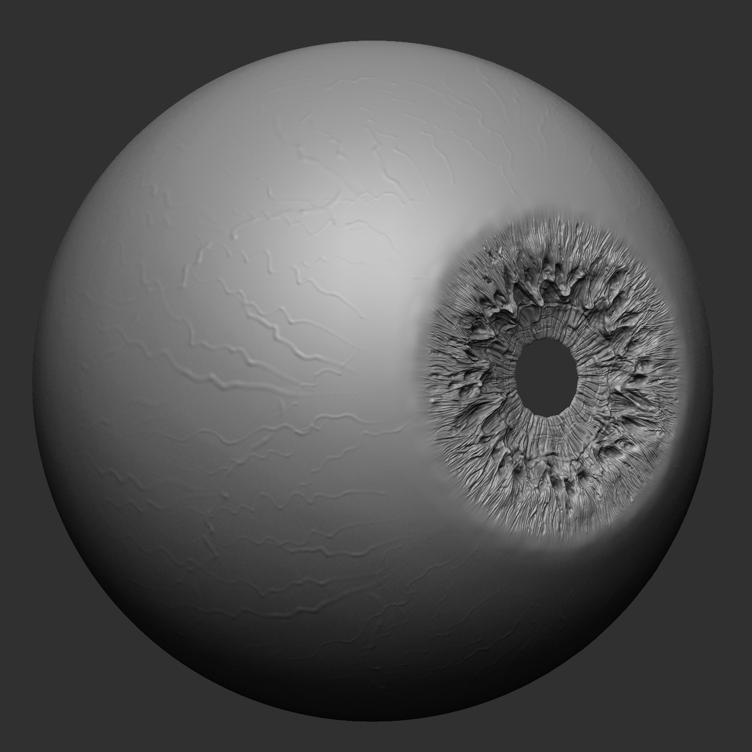 3d realistic eye model