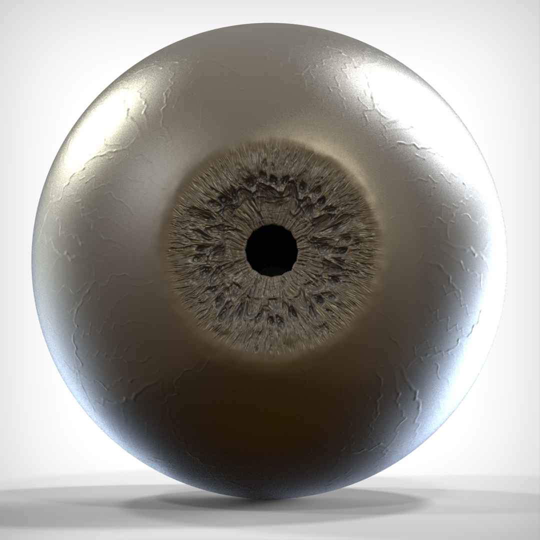 3d realistic eye model
