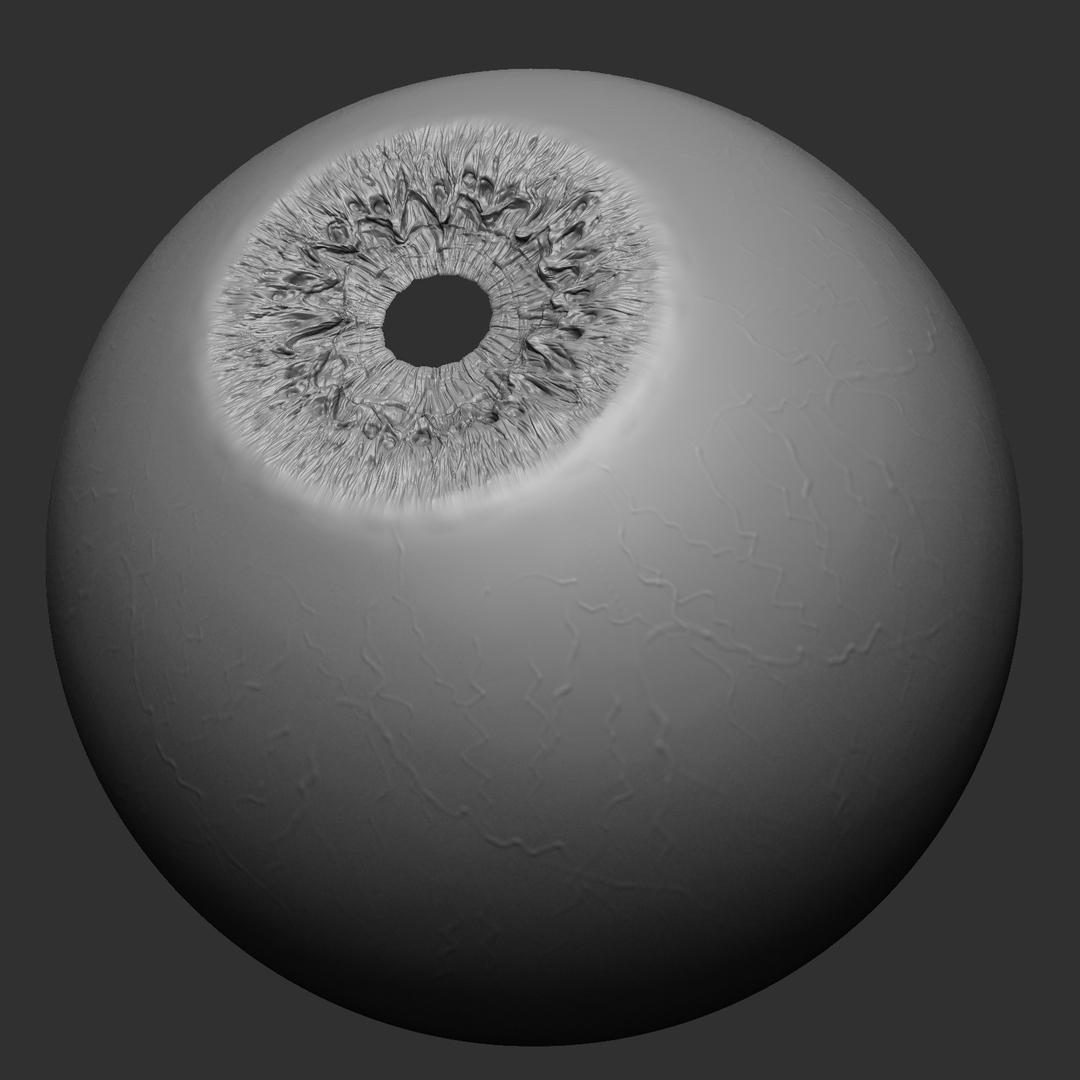 3d realistic eye model