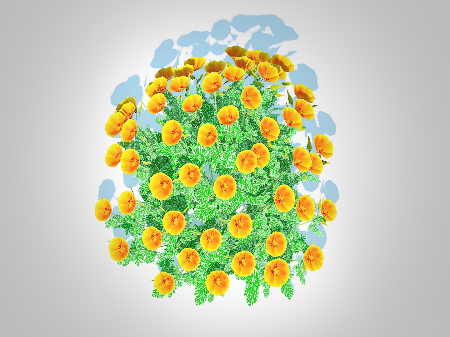 Eschscholzia Californica - California Poppy 3D Model - TurboSquid 2297582