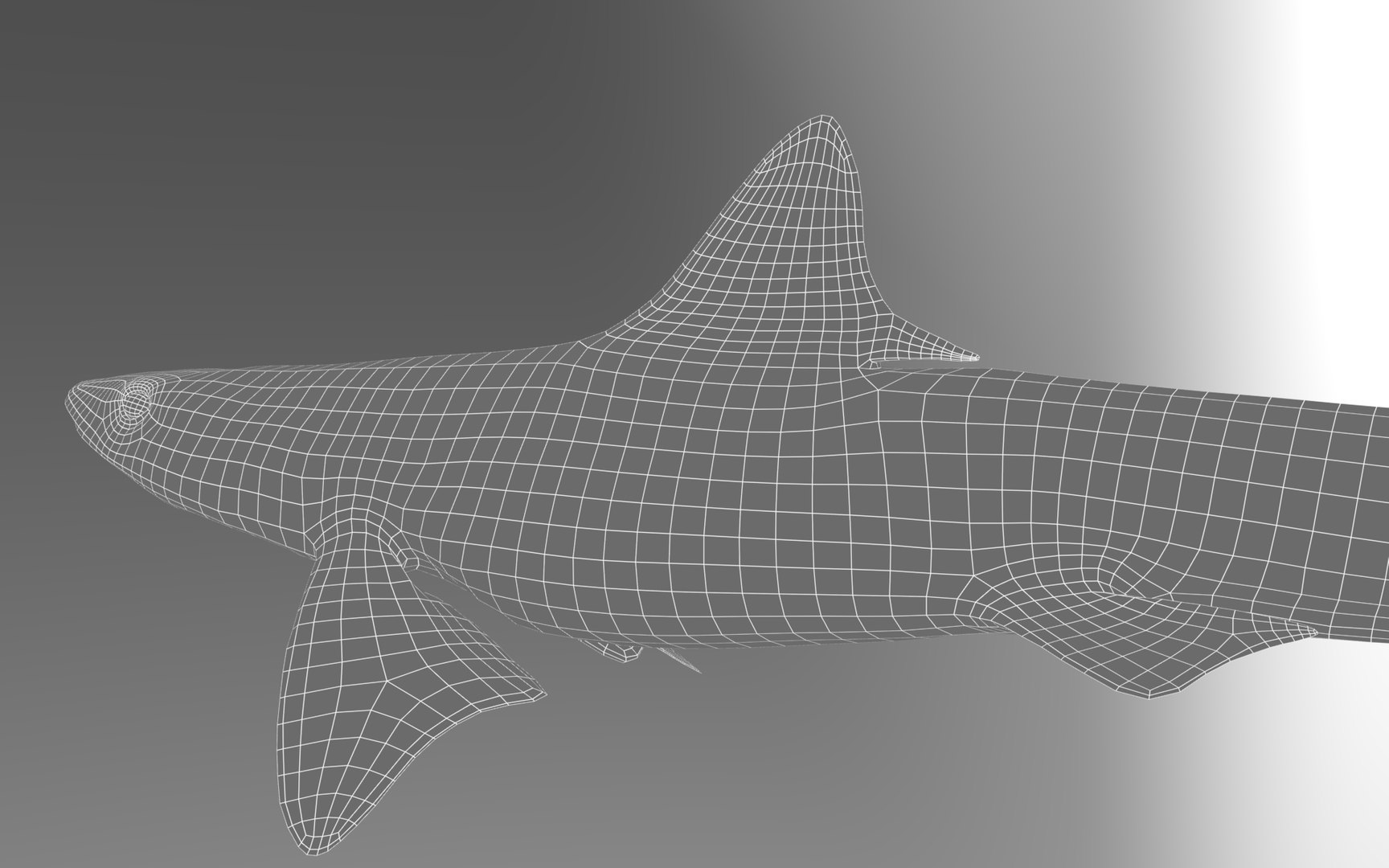3D Dog Shark model - TurboSquid 1957877
