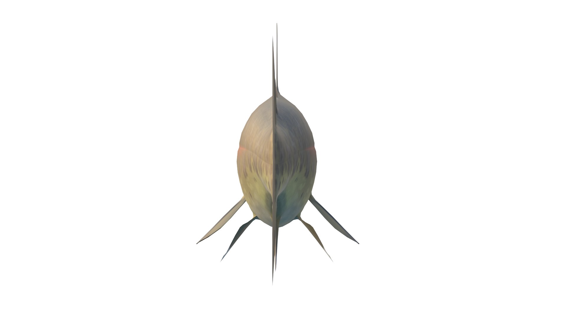 3D Trout Fish 3D Model - TurboSquid 2310707