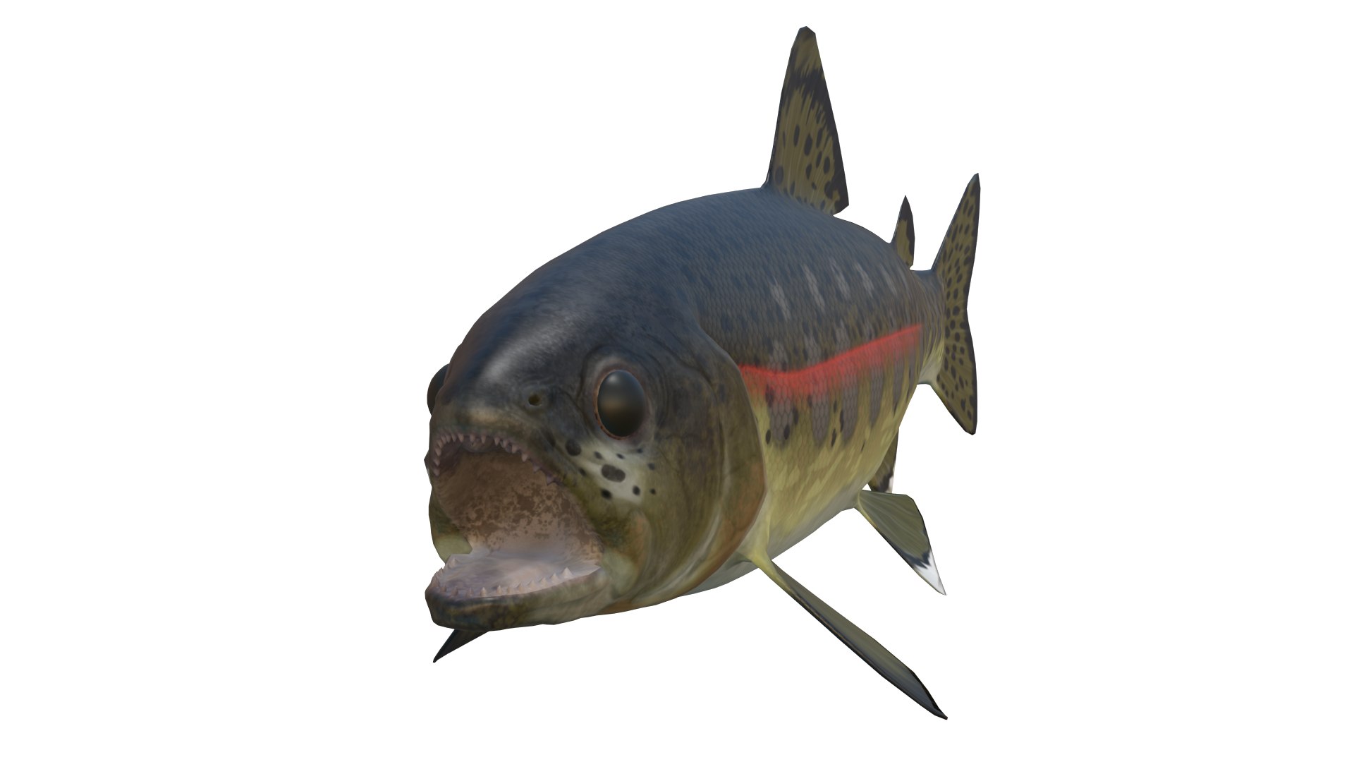 3D Trout Fish 3D Model - TurboSquid 2310707