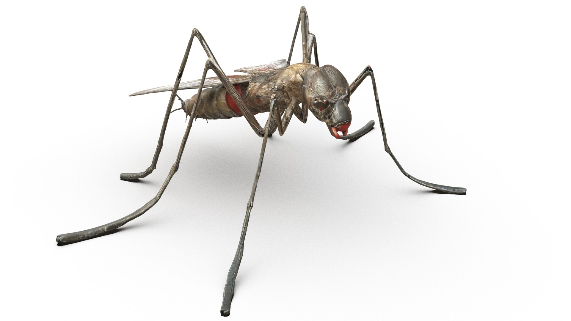 3D Insects Pack - TurboSquid 2318609