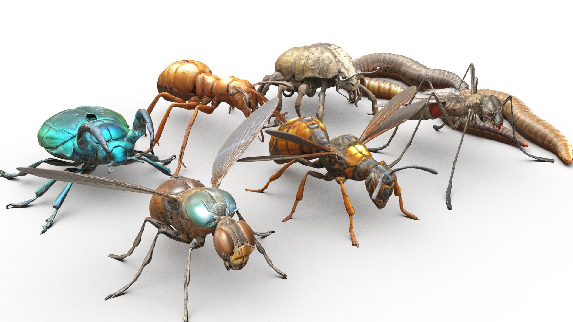 3D Insects Pack - TurboSquid 2318609