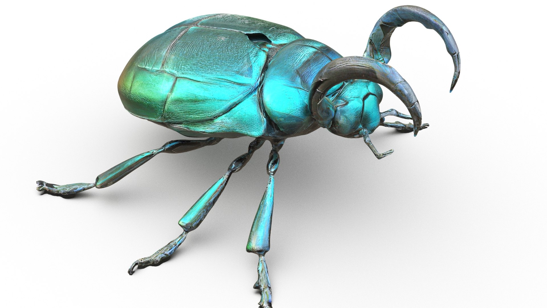 3D Insects Pack - TurboSquid 2318609