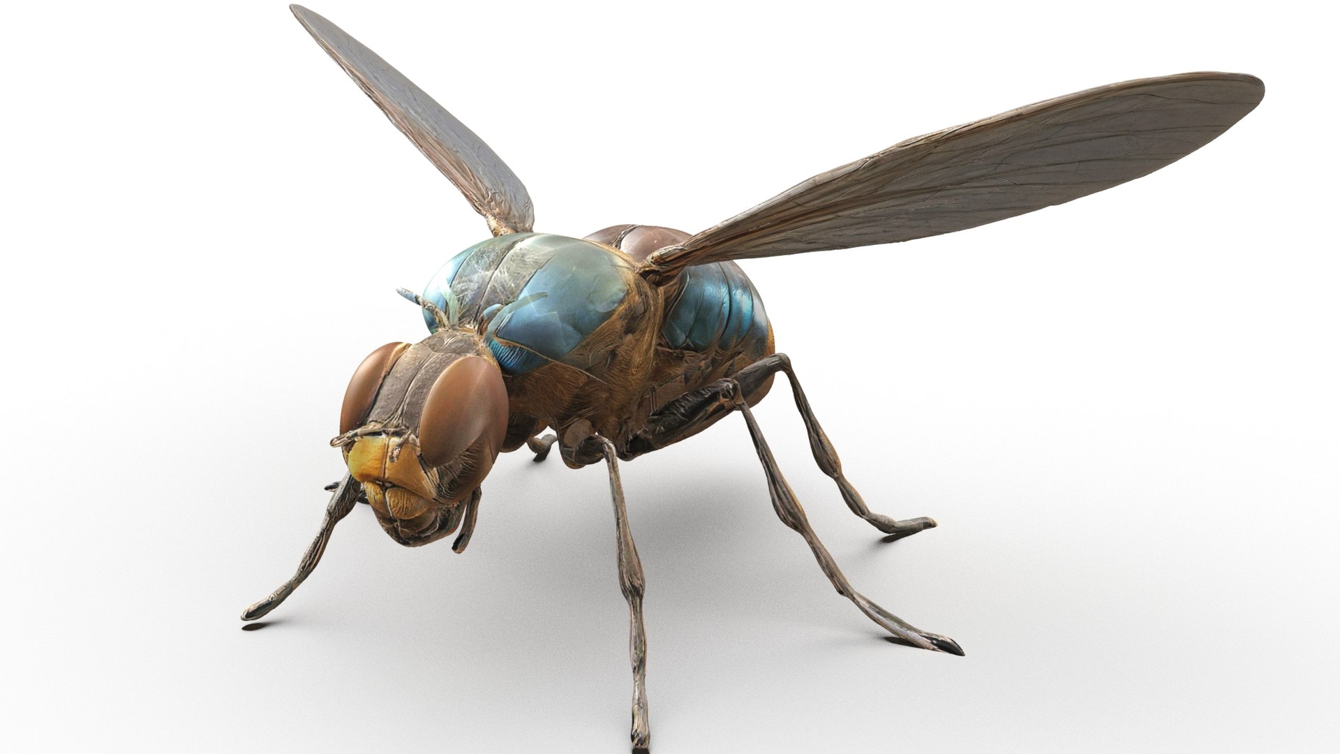 3D Insects Pack - TurboSquid 2318609