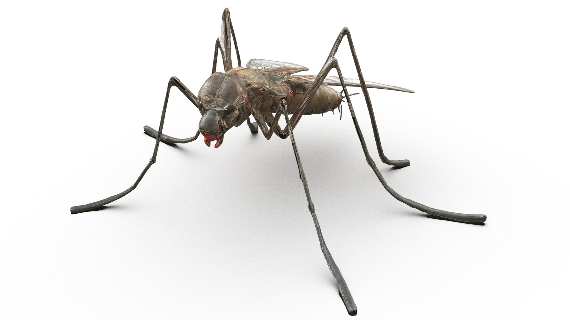 3D Insects Pack - TurboSquid 2318609