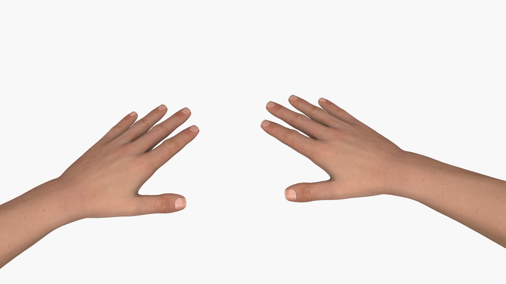 Free Hand 3D Model - TurboSquid 2382657