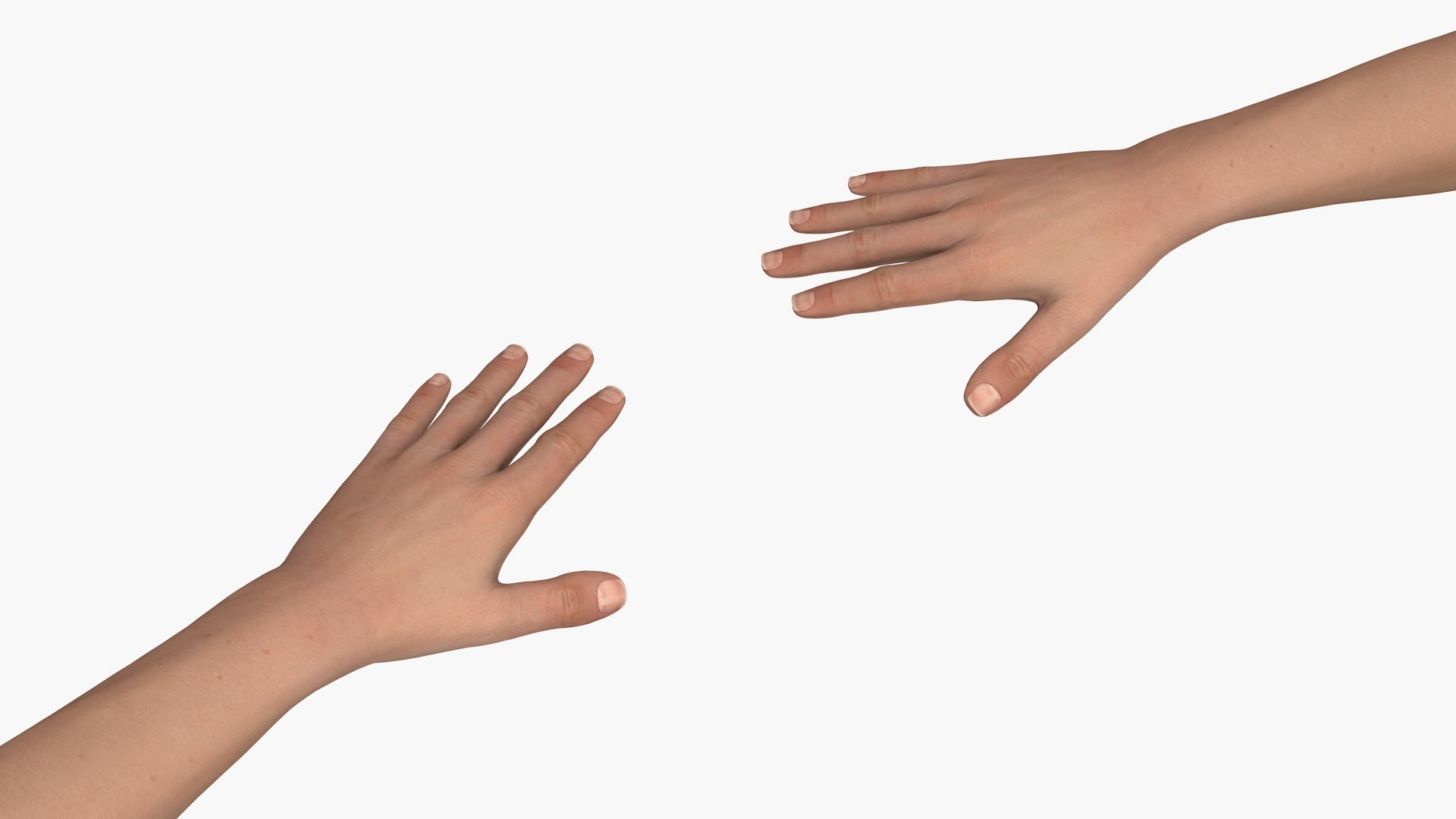 Free Hand 3D Model - TurboSquid 2382657