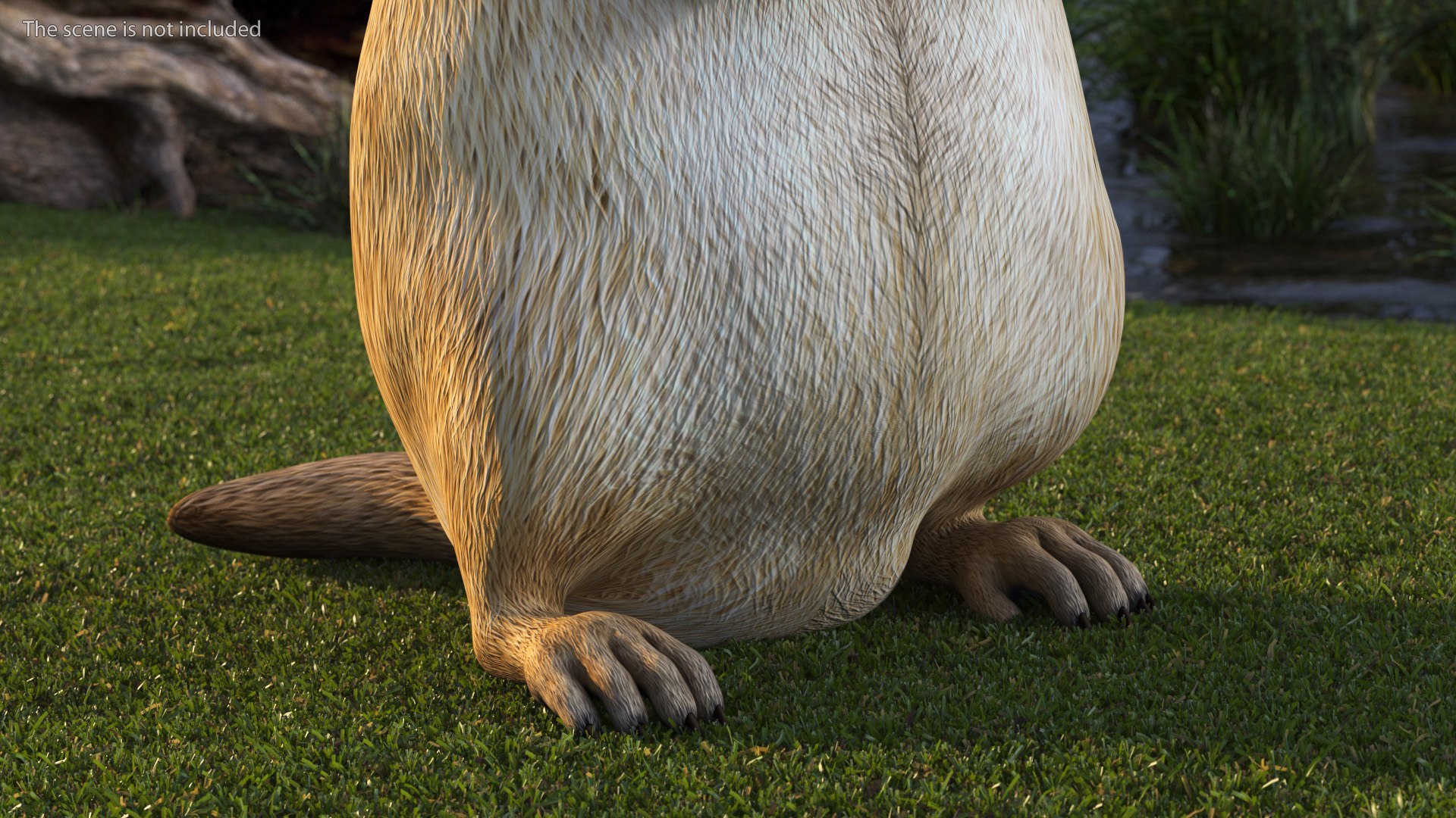 Alpine Marmot Eating Pose 3D Model - TurboSquid 1964228