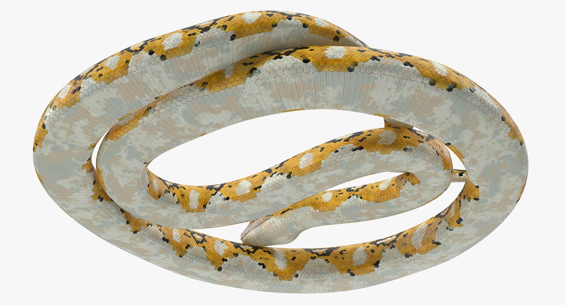 Yellow Python Snake Rigged 3D - TurboSquid 1436338