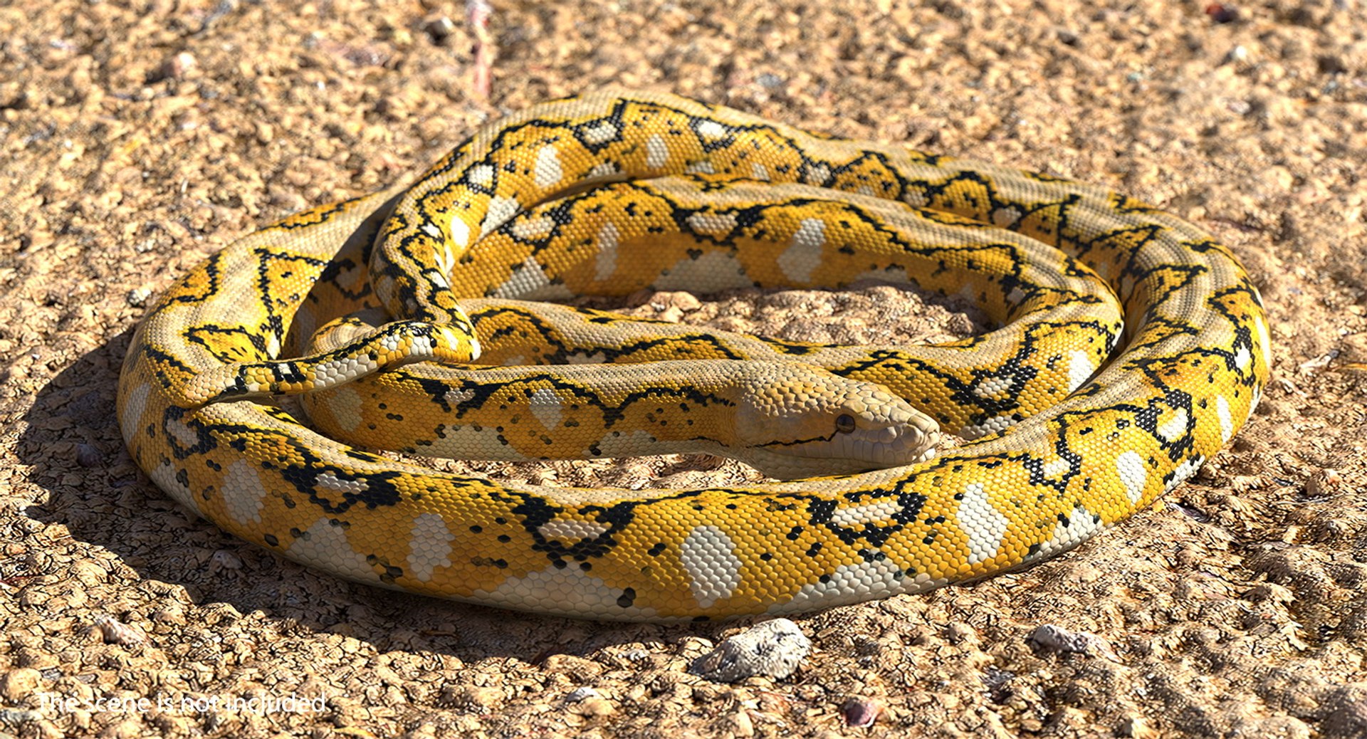 Yellow Python Snake Rigged 3D - TurboSquid 1436338