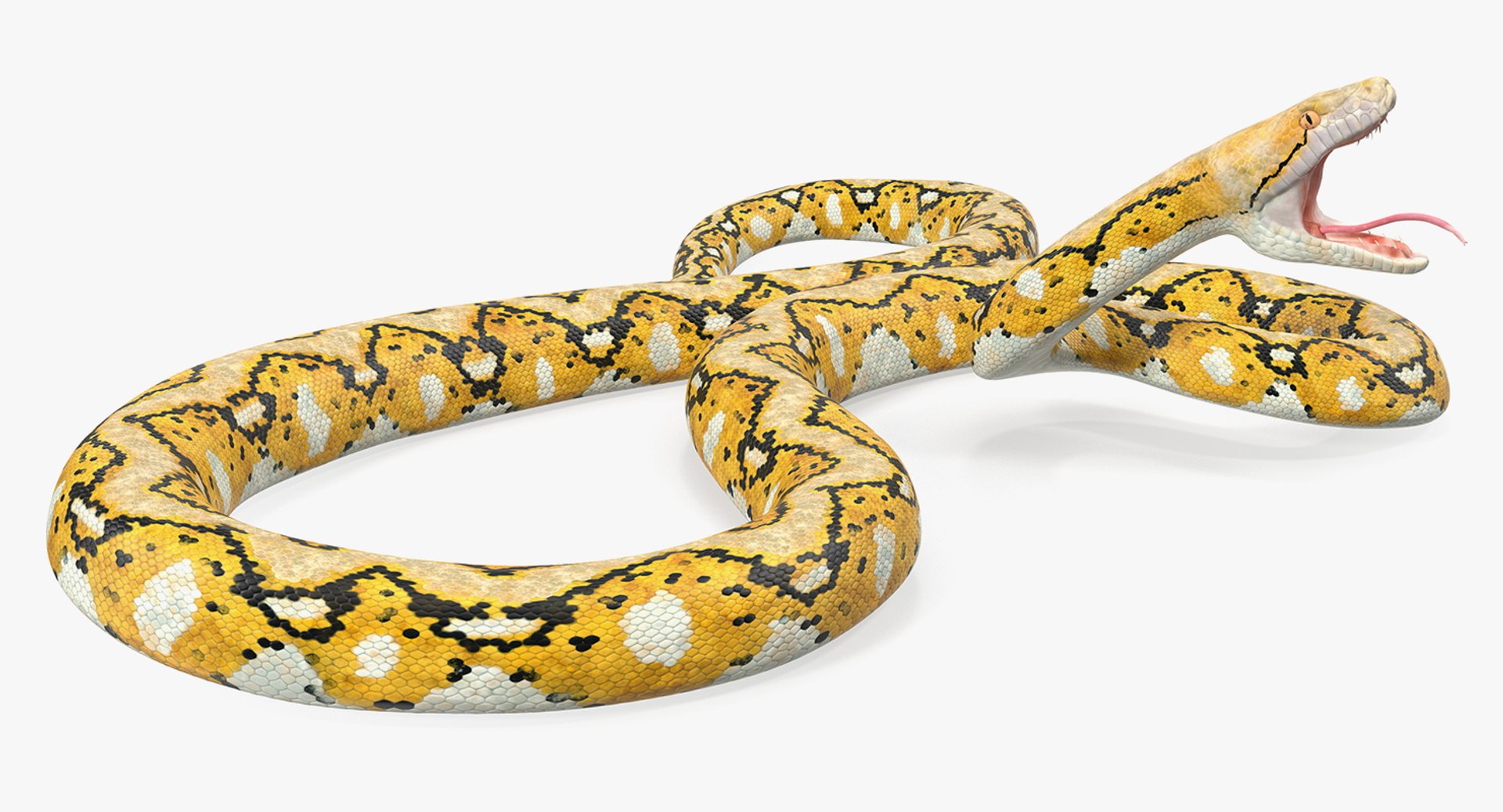 Yellow Python Snake Rigged 3D - TurboSquid 1436338