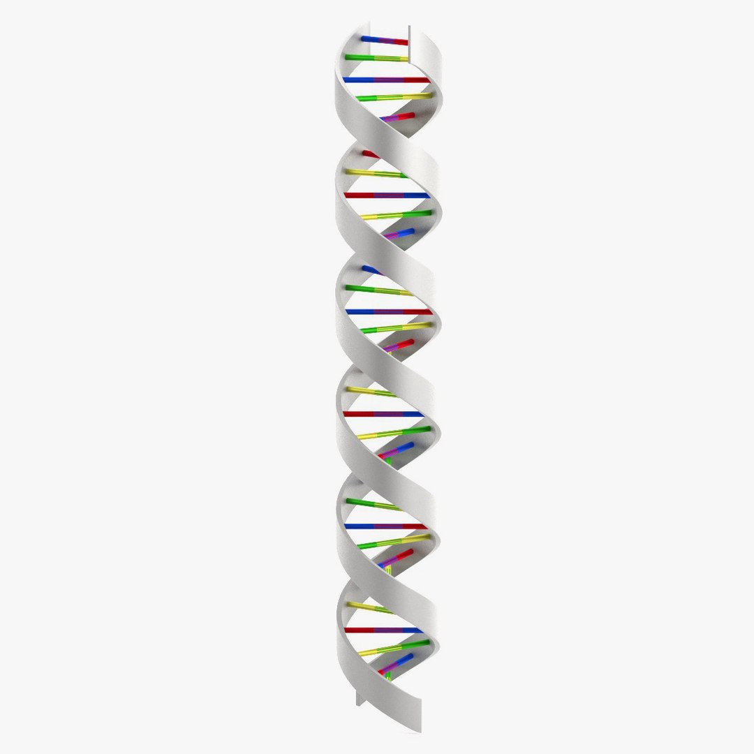 3d dna